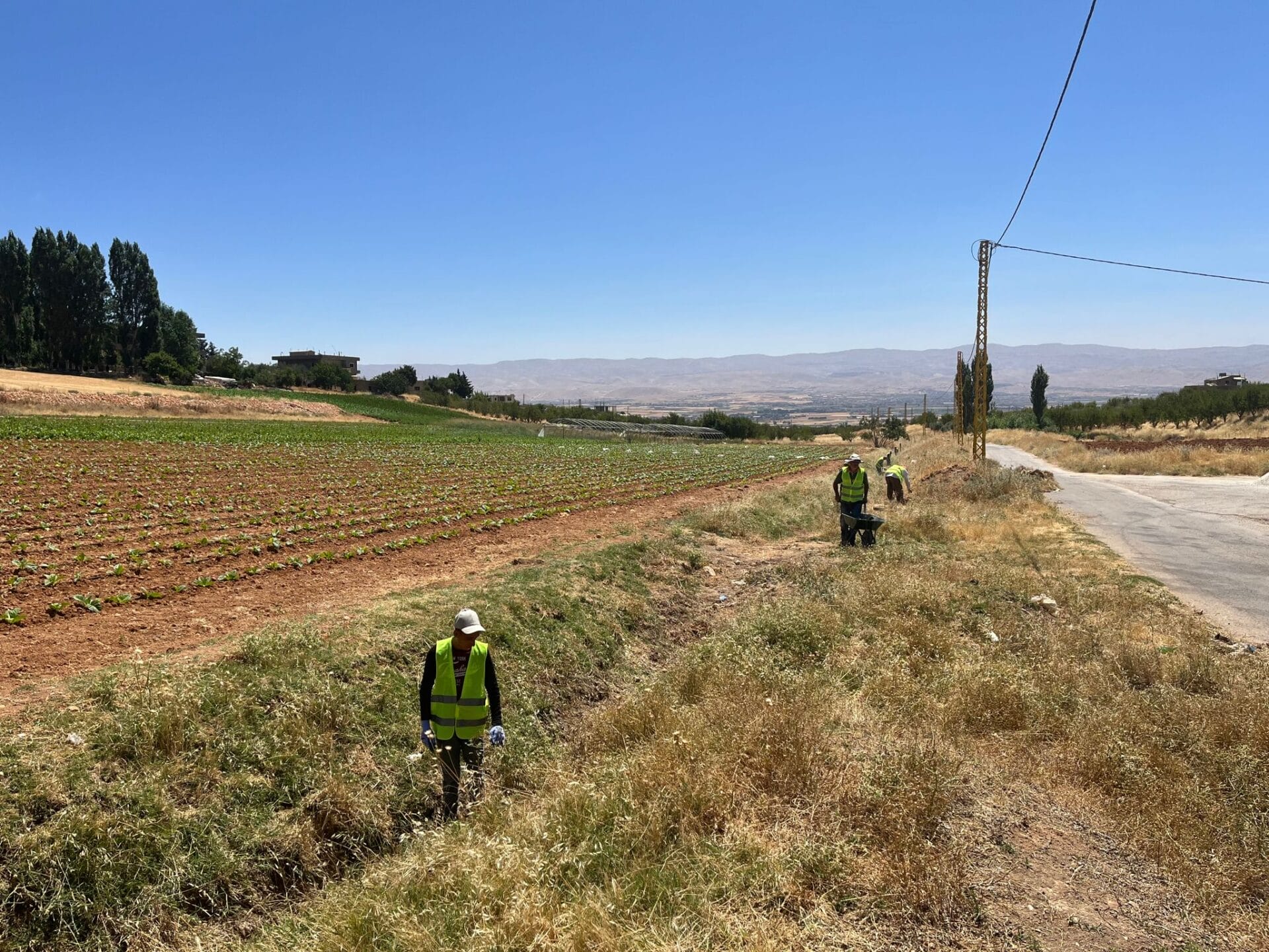Cash-for-Work in the Bekaa Valley, Lebanon: Contributing to the ...